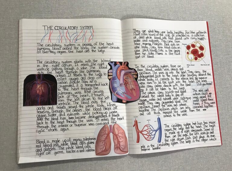 Year 6: The Circulatory System - Bloxwich Academy